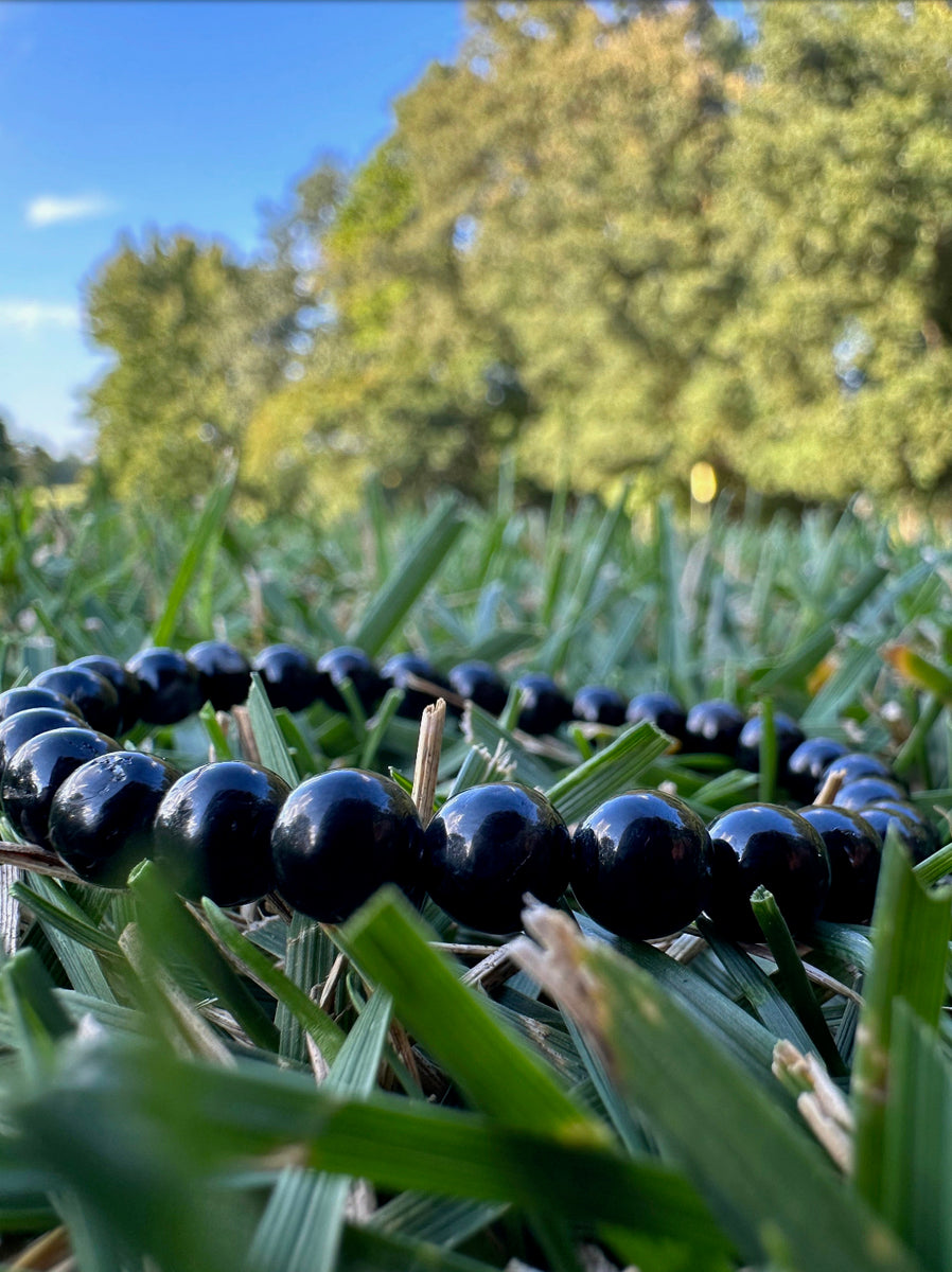 Black Onyx Bracelet – Wood Align